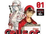 Category:Characters | Cells at Work! Wiki | Fandom