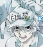 Band Cell | Cells at Work! Wiki | Fandom