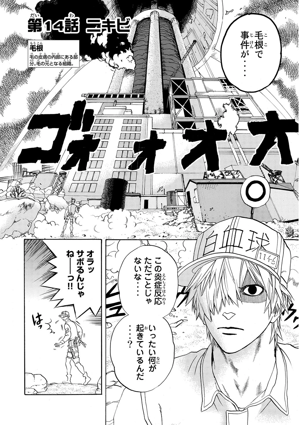 Chapter 14 | Cells at Work! Wiki | Fandom