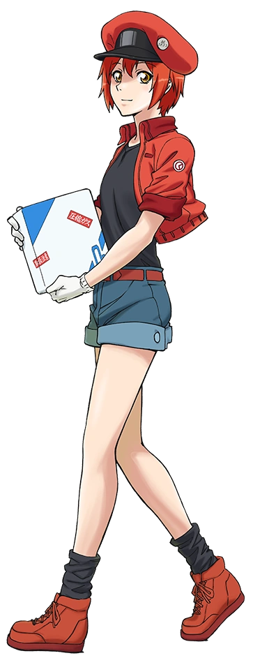 AE3803 | Cells at Work! Wiki | Fandom