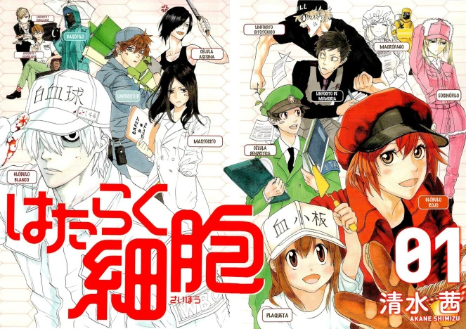 Cells at Work! Wiki | Fandom