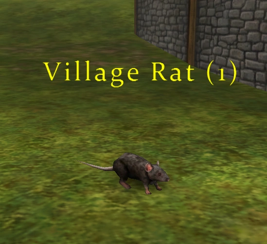 Village Rat | Celtic-Heroes-Fanatics Wiki | Fandom