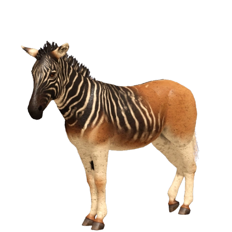 Quagga | Cenozoic Survival (Rescript) Wiki | Fandom