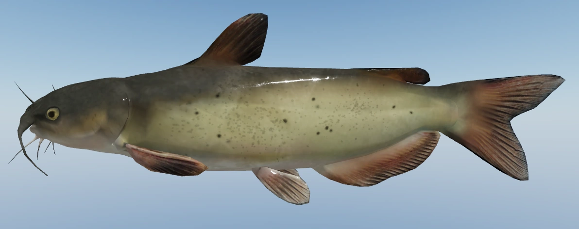 Channel Catfish | Cenozoic Survival (Rescript) Wiki | Fandom
