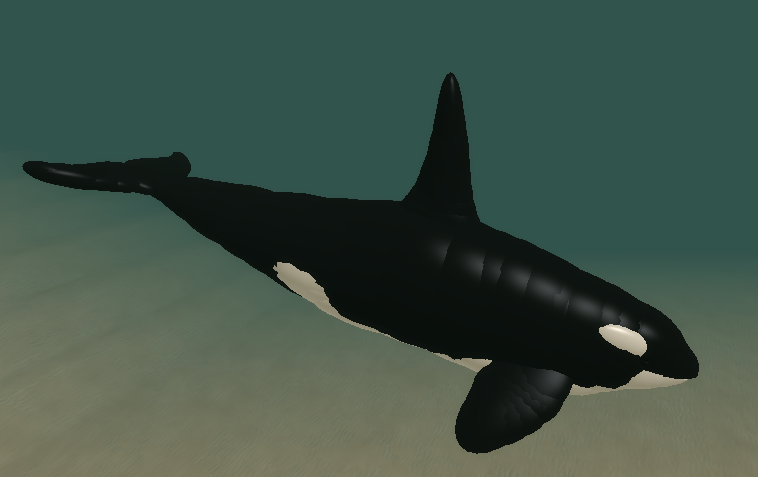 Orca | Cenozoic Survival Roblox Wiki | Fandom