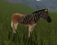Quagga | Cenozoic Survival Roblox Wiki | Fandom