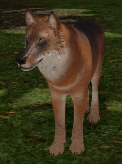 Dire Wolf | Cenozoic Survival Roblox Wiki | Fandom