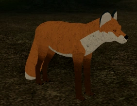 Red Fox | Cenozoic Survival Roblox Wiki | Fandom