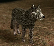 Dire Wolf | Cenozoic Survival Roblox Wiki | Fandom