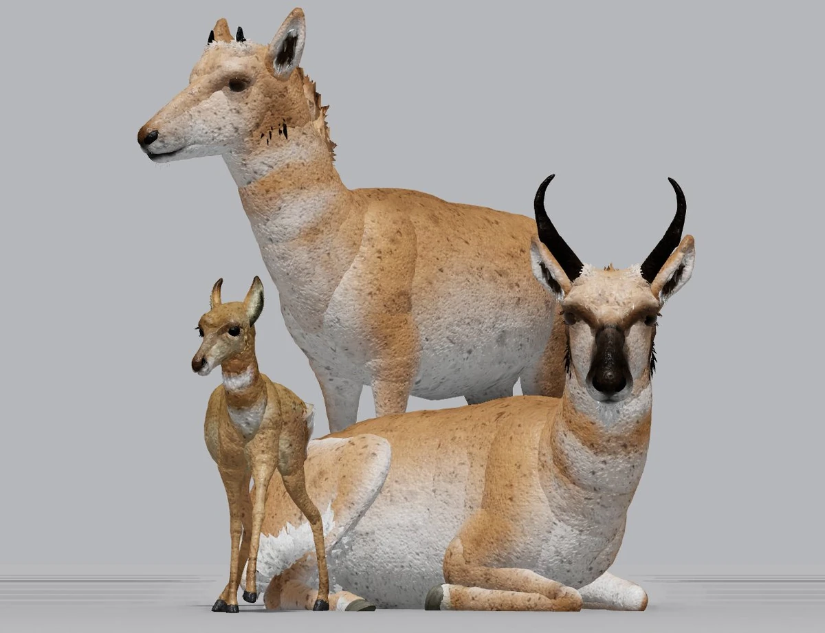 Pronghorn | Cenozoic Survival Wiki | Fandom