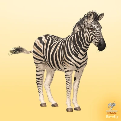 Quagga | Cenozoic Survival Wiki | Fandom