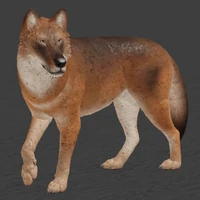 Dire Wolf | Cenozoic Survival Wiki | Fandom
