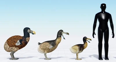 Dodo | Cenozoic Survival Wiki | Fandom