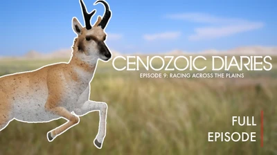 Some Stuff | Cenozoic Survival Wiki | Fandom