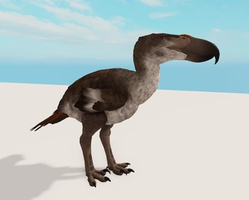 Kelenken | Cenozoic Survival Wiki | Fandom