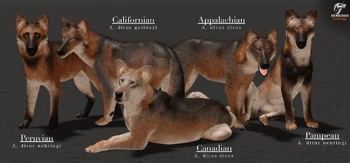 Dire Wolf | Cenozoic Survival Wiki | Fandom