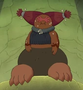 Shamans | Centaurworld Wiki | Fandom