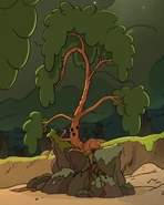 Shamans | Centaurworld Wiki | Fandom