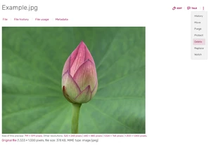 Help:Administrators' how-to guide | Community Central | Fandom