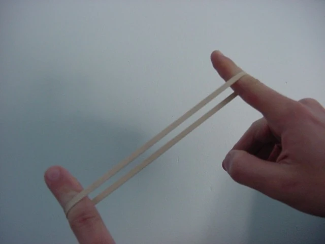 Elasticity | Central Economics Wiki | Fandom