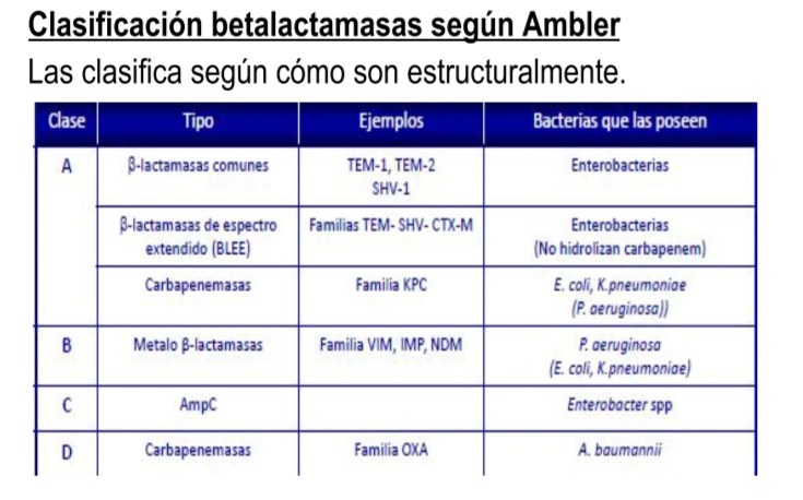 Mecanismos De Resistencia A Antibioticos Central De Apuntes Med Ucé