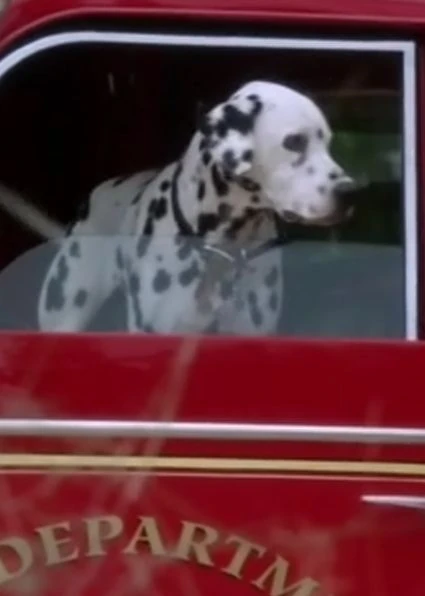 Pongo | C'era Una Volta - Once Upon A Time Wiki | Fandom