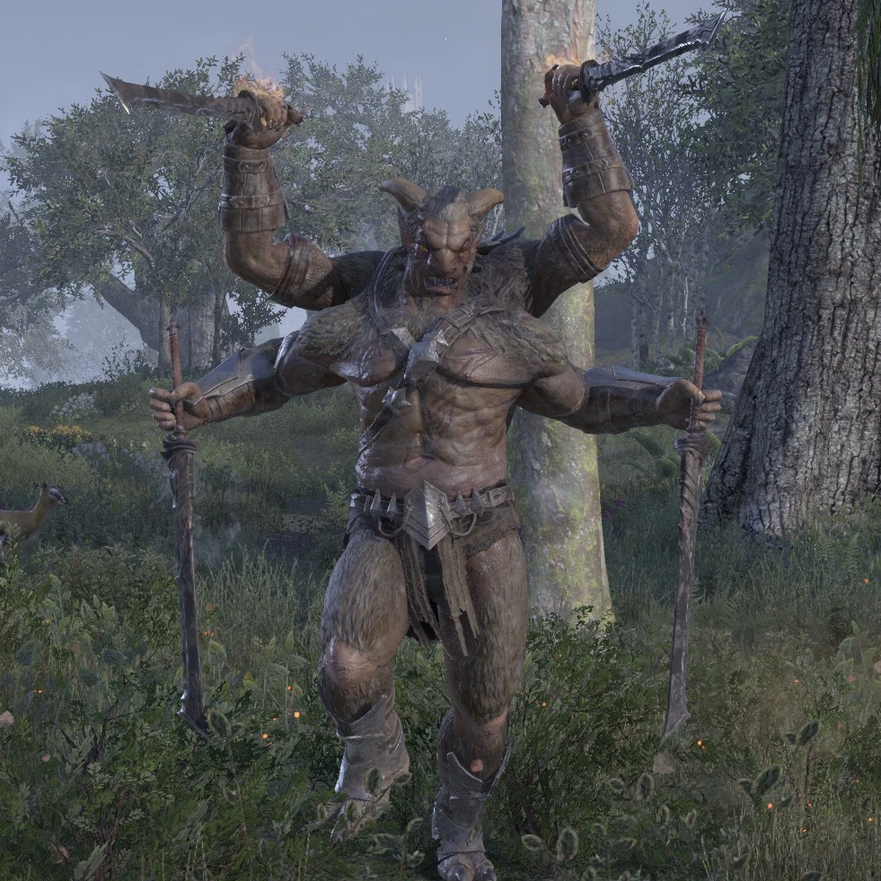 Ruinach | Cesarska Biblioteka | Fandom