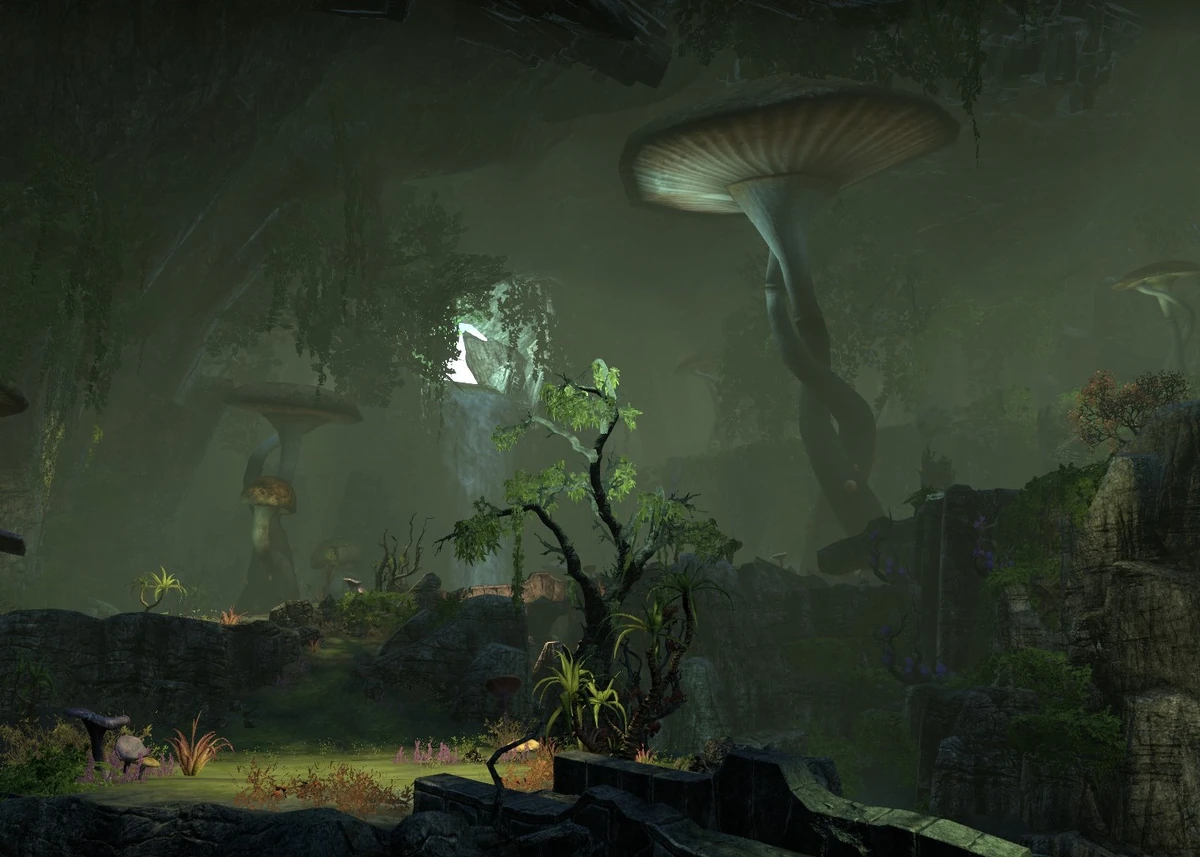 Fungal Grotto | Cesarska Biblioteka | Fandom