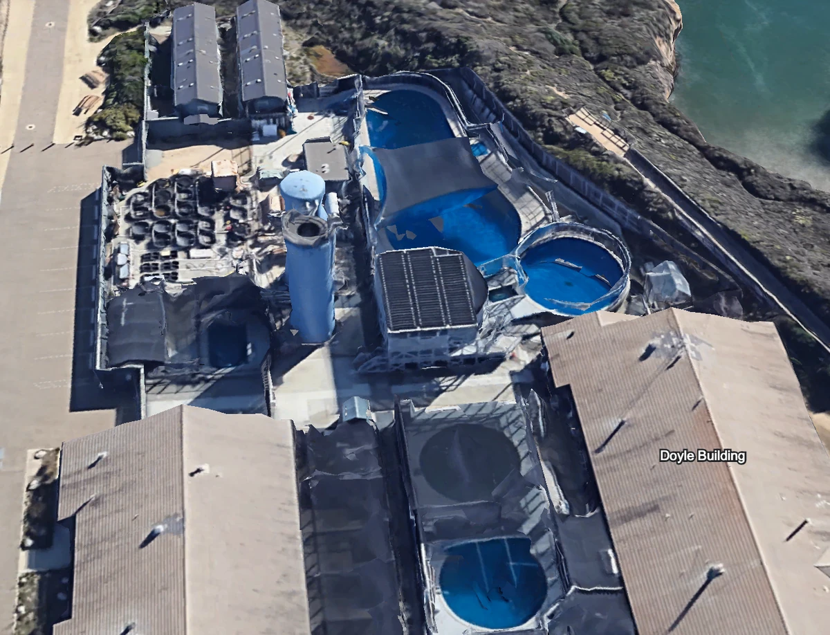 Williams Lab (LML) | Cetacea Wiki | Fandom