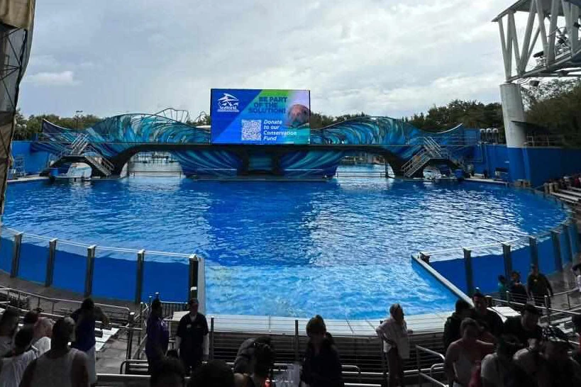 Orca Stadium (SWF) | Cetacea Wiki | Fandom