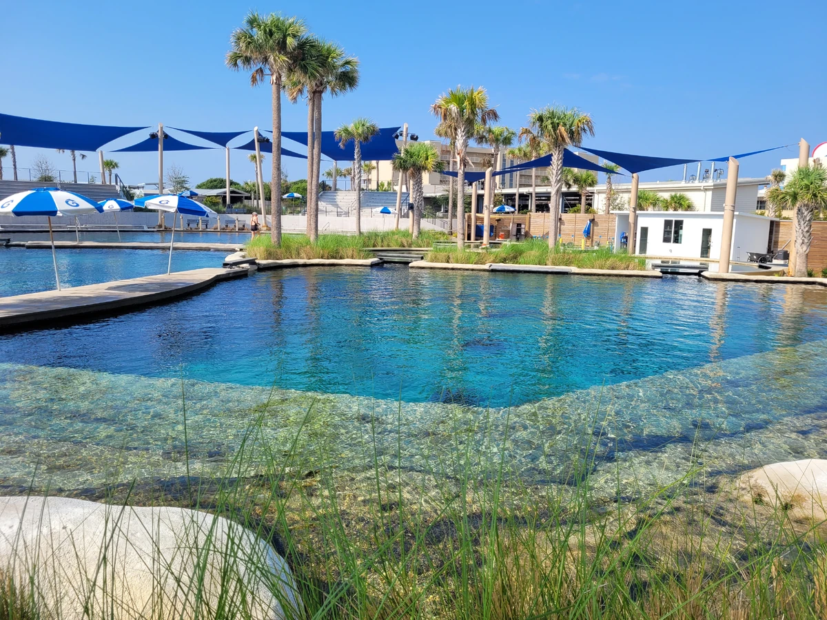 Dolphin Oasis (GMAP) | Cetacea Wiki | Fandom