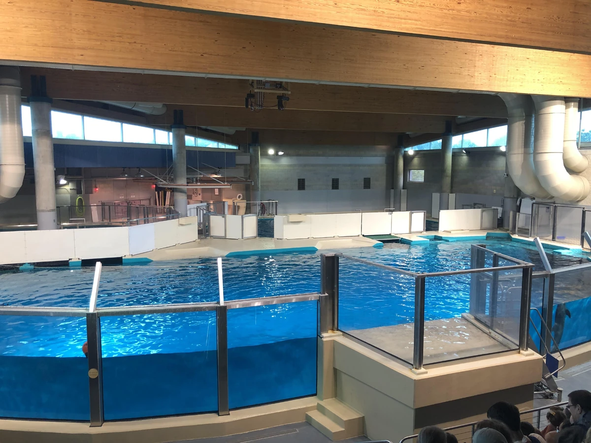 Discovery Bay (MNZ) | Cetacea Wiki | Fandom