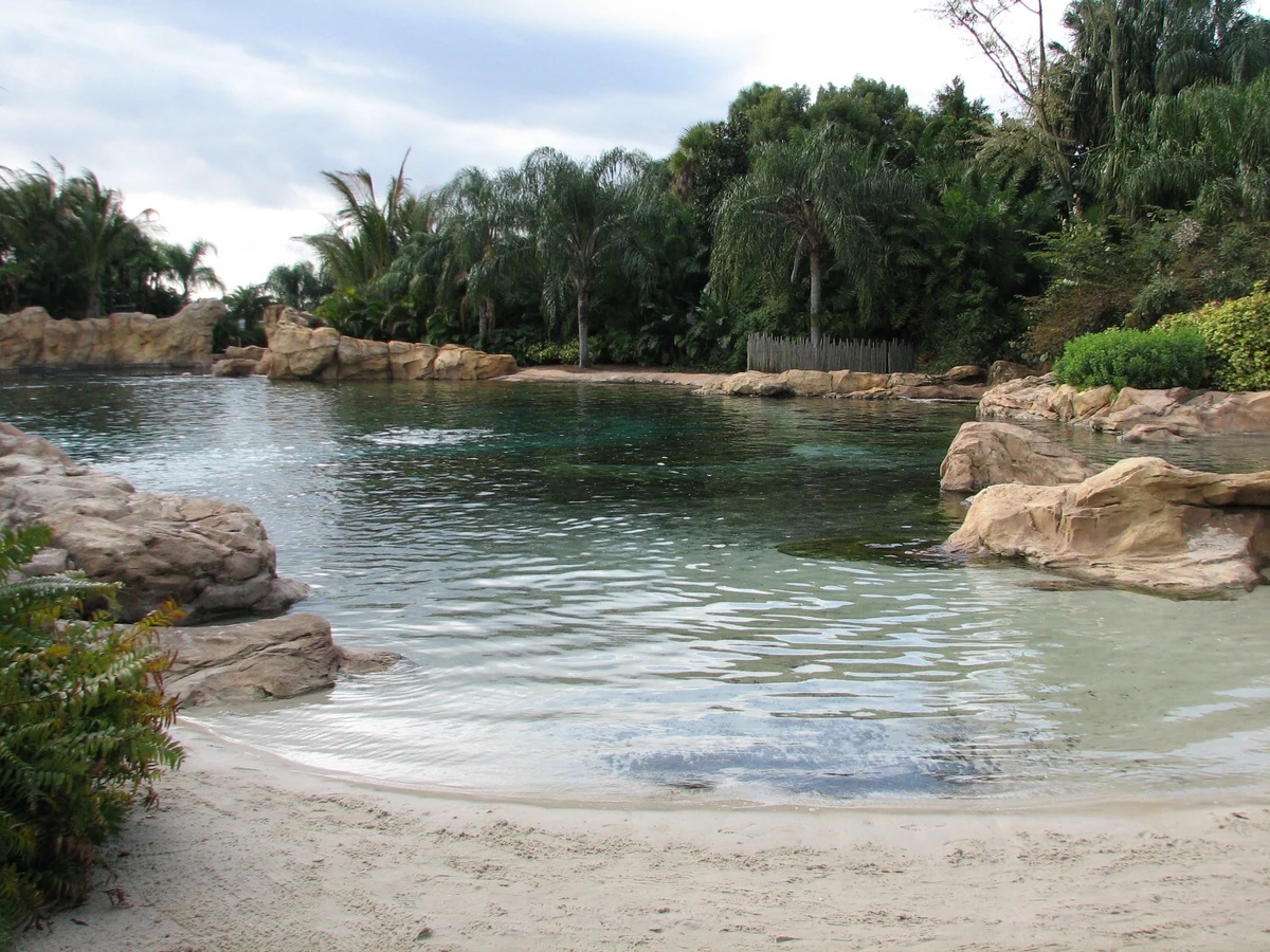 Dolphin Lagoon (DC) | Cetacea Wiki | Fandom