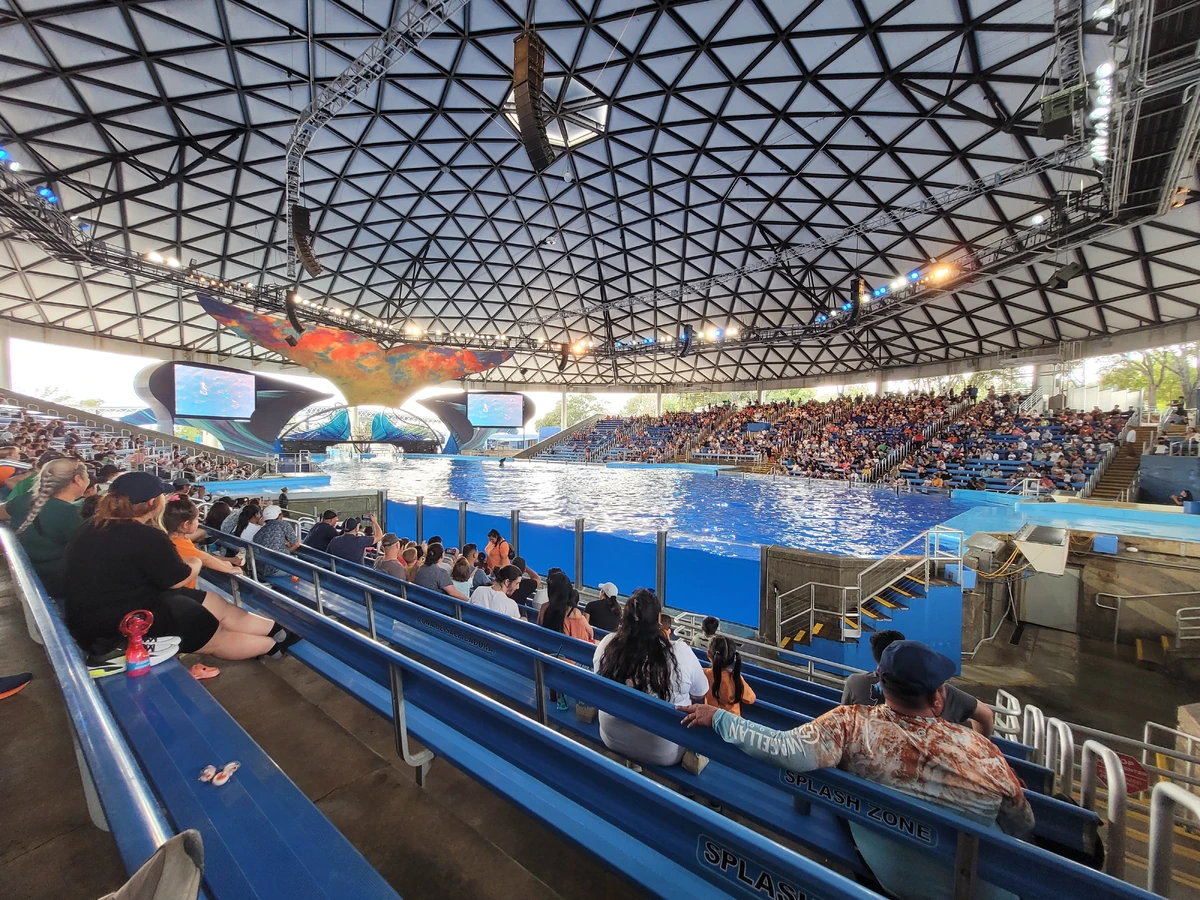 Orca Stadium (SWT) | Cetacea Wiki | Fandom
