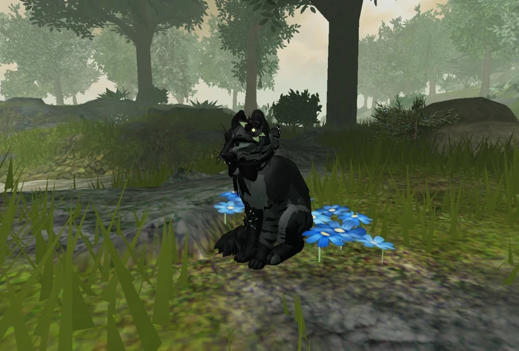 New Morph :D | Fandom