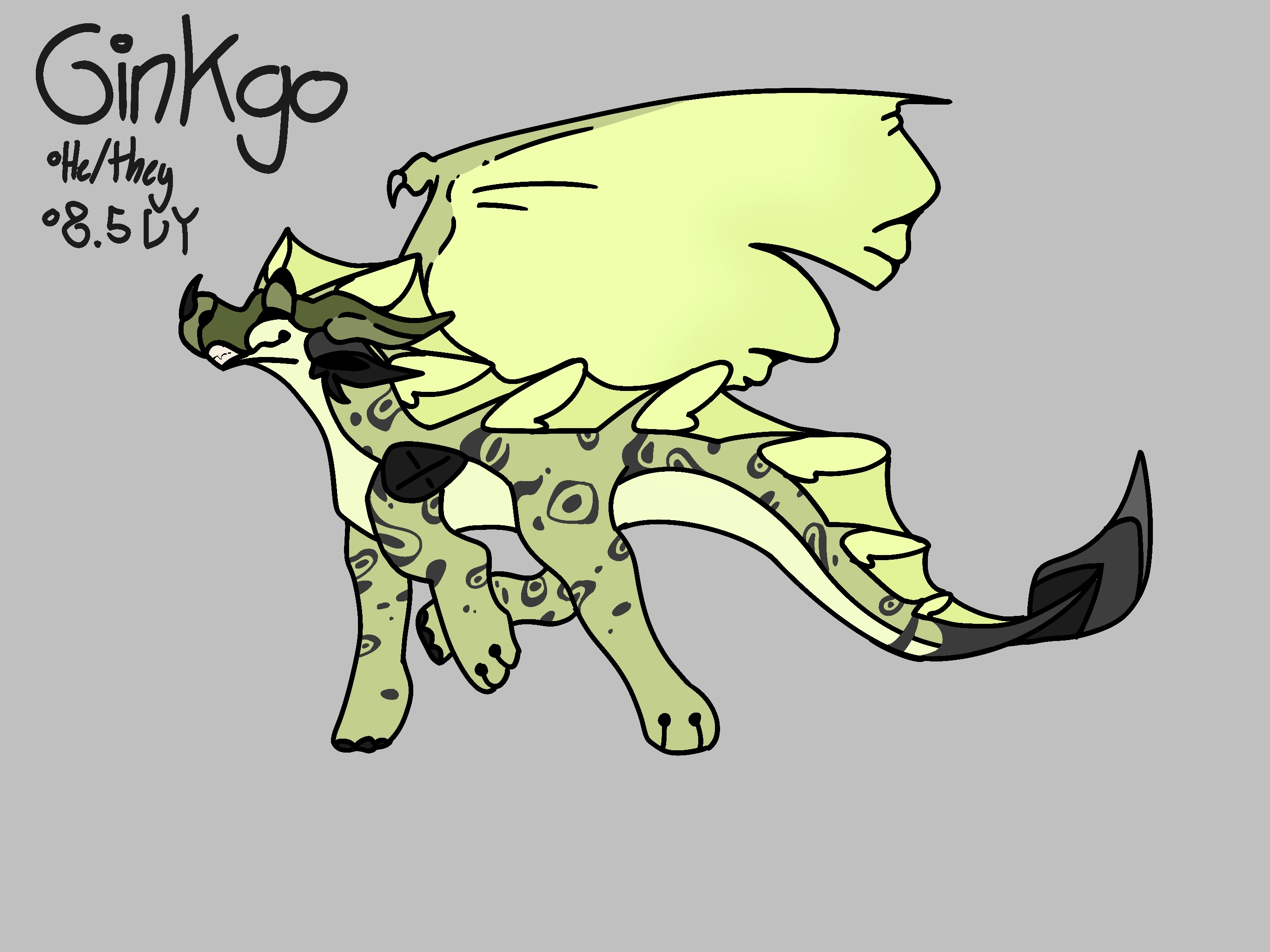 Nfiejwkcoowkq Ginkgo | Fandom