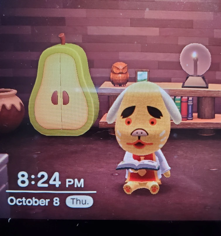Discuss Everything About Animal Crossing Wiki | Fandom