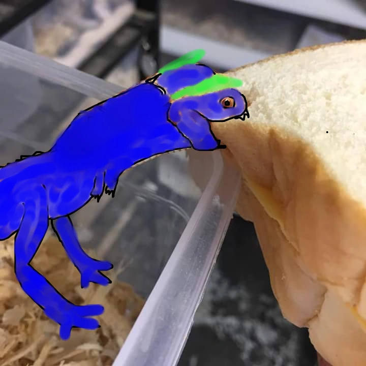 I trace teh snek | Fandom