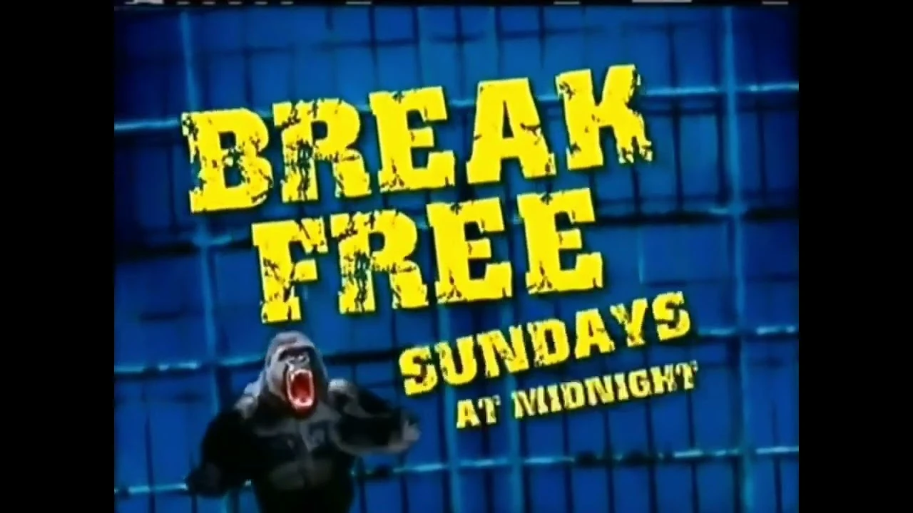 NickToons Network's/NickToons' Break Free | Fandom