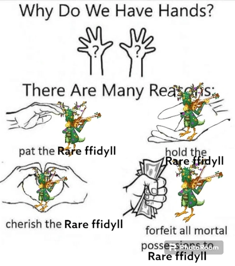 rare ffidyll (actually real) | Fandom