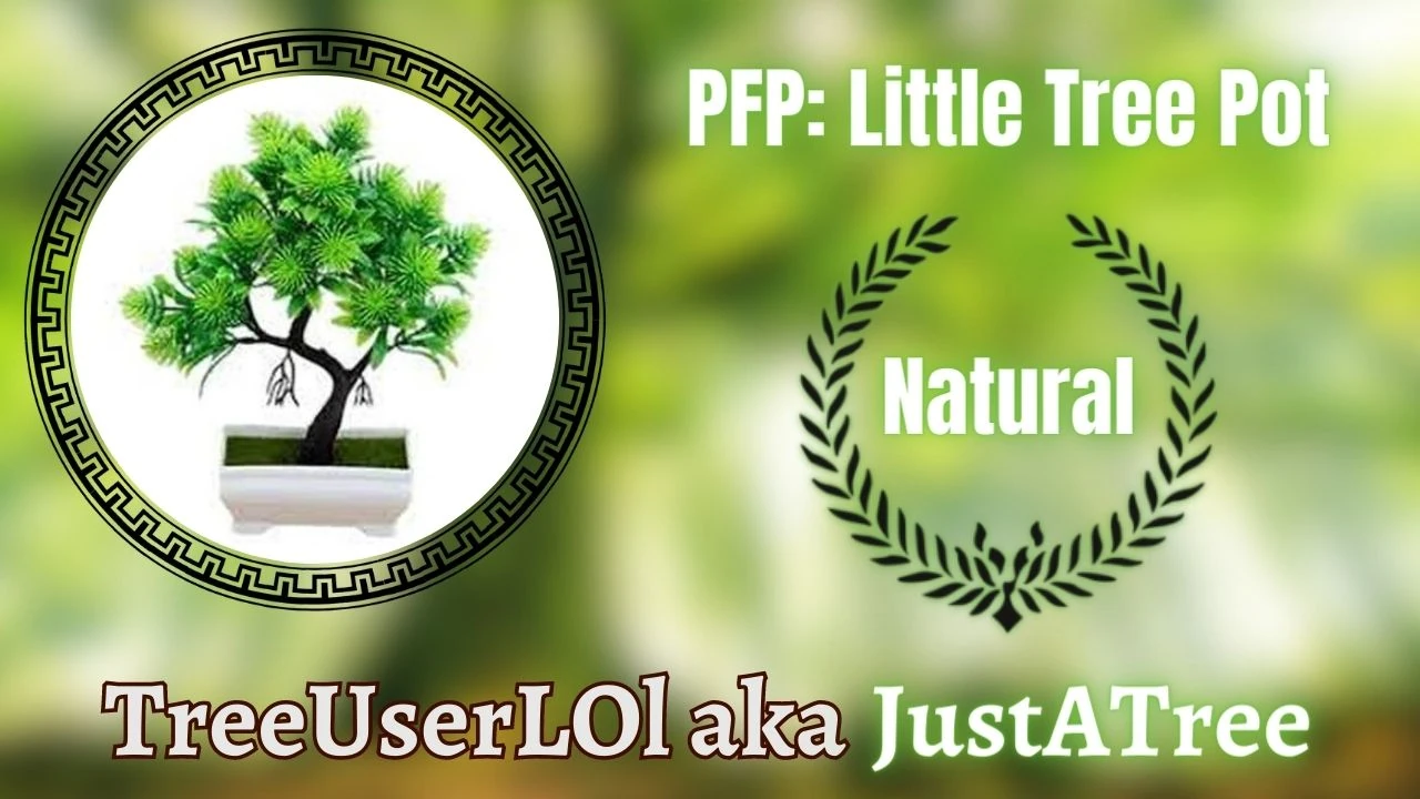 Rating PFP ( Part 2 ) | Fandom