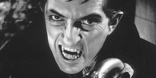 My review of Dark Shadows! | Fandom