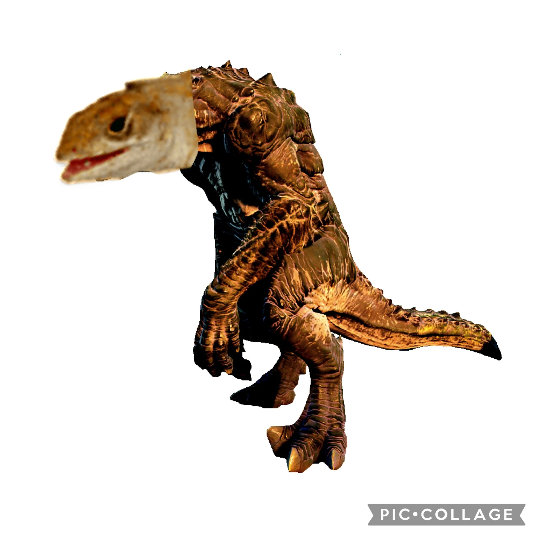 Domesticated gatorclaw | Fandom