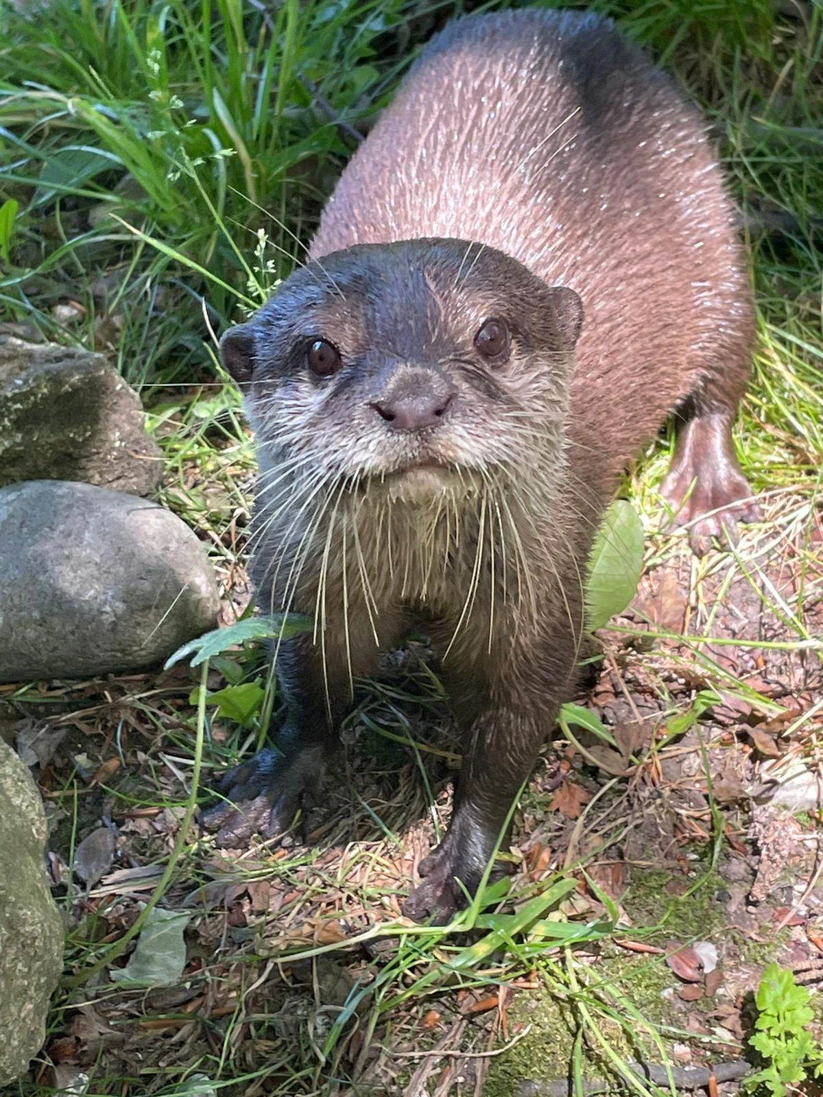 bye 2: goodbye | Fandom