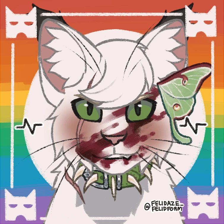 Ninjago warriors cats *small blood warning* | Fandom