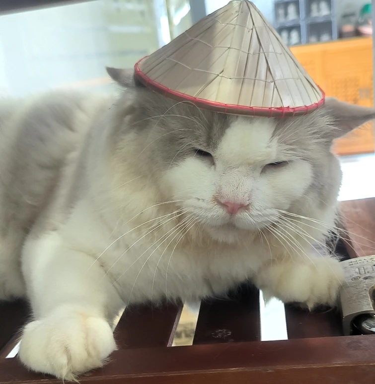 Here’s a pic of Enmu (my oc I think some of us should know this by now ...