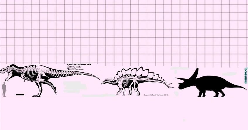 Tried making a size chart of my top 3 dino's | Fandom