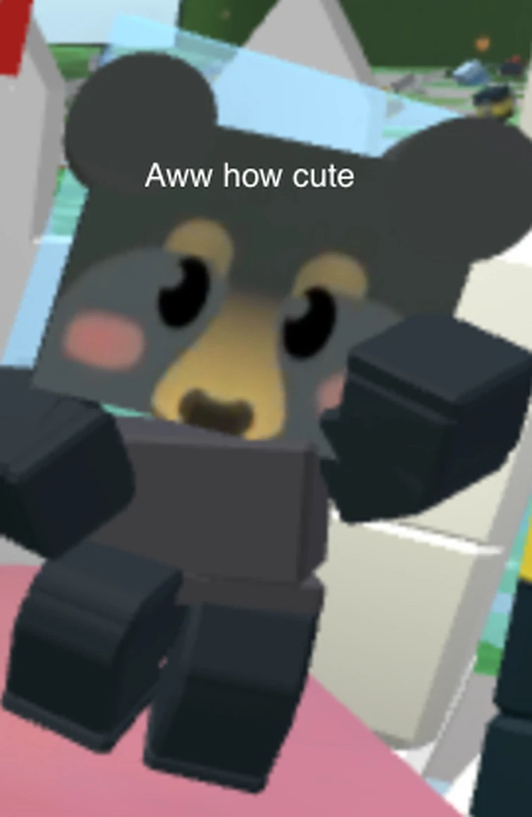 BSS Memes (1) | Fandom