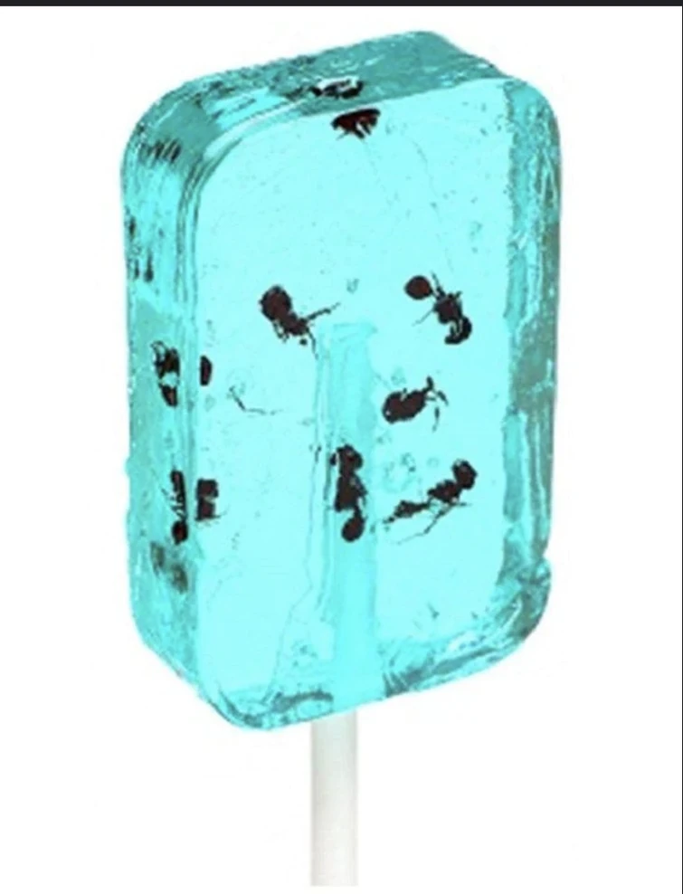 sorry for so many polls DO I EAT THE ANT LOLIPOP | Fandom