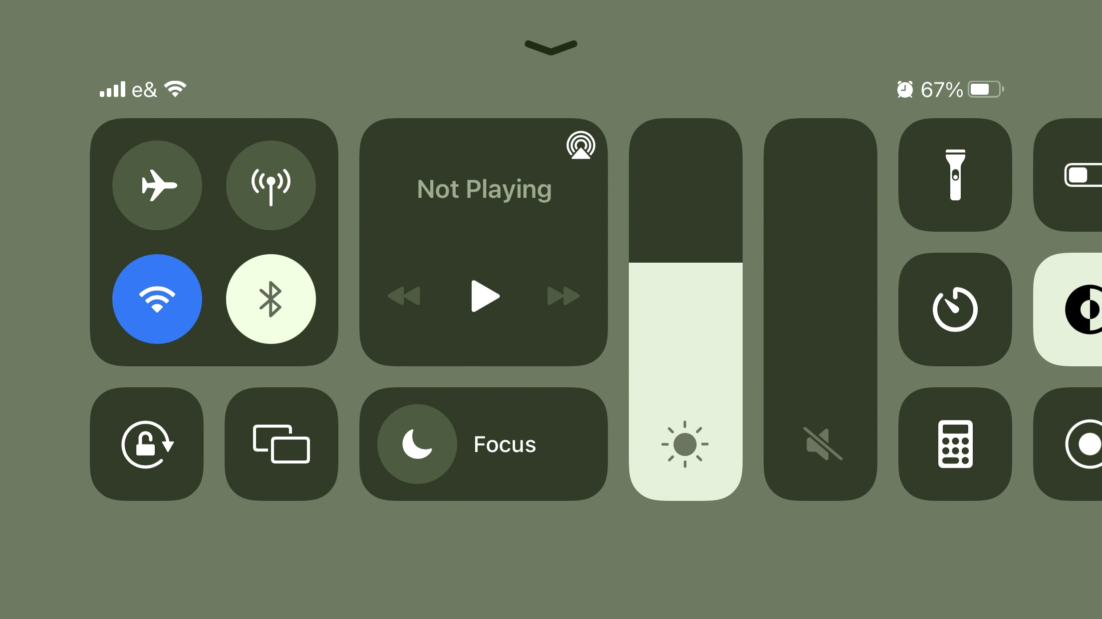 my precious mango mustard | Fandom